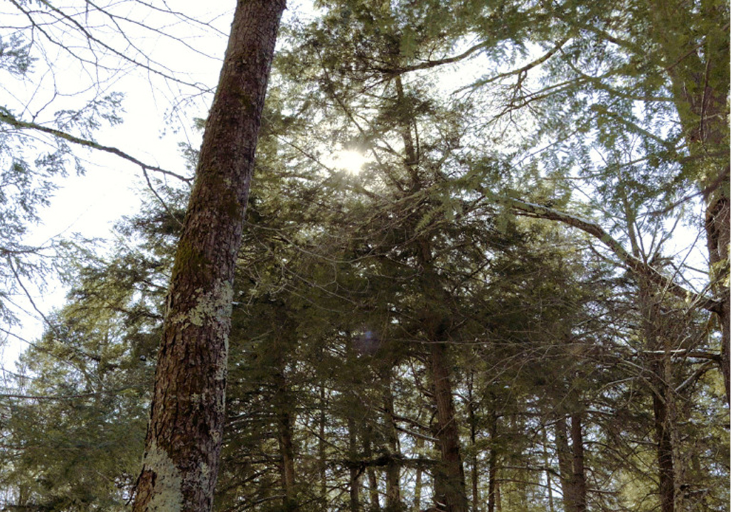 Our Corporate Social Responsibility | la Vie en Rose